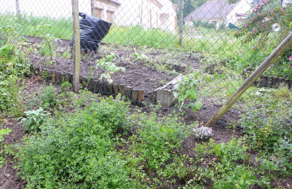 Planting Potatoes in the Rain | Aussie in France